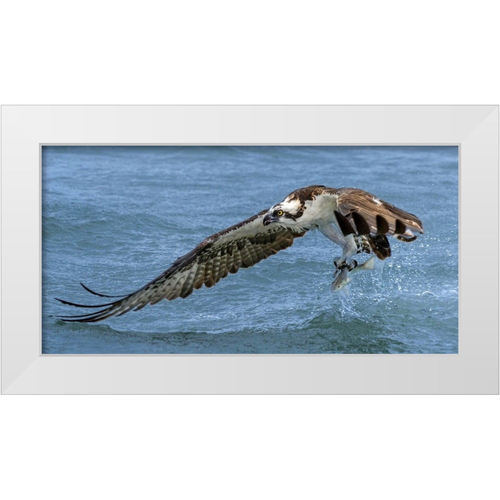 Fan, John 14x9 White Modern Wood Framed Museum Art Print Titled ...
