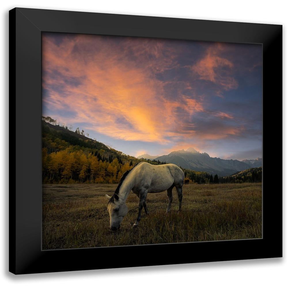 Fan, John 15x15 Black Modern Framed Museum Art Print Titled - The ...