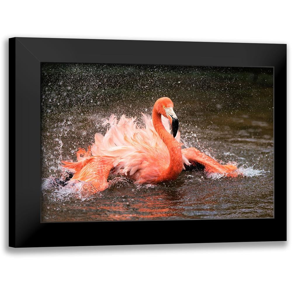Fan, John 18x13 Black Modern Framed Museum Art Print Titled - Bath ...