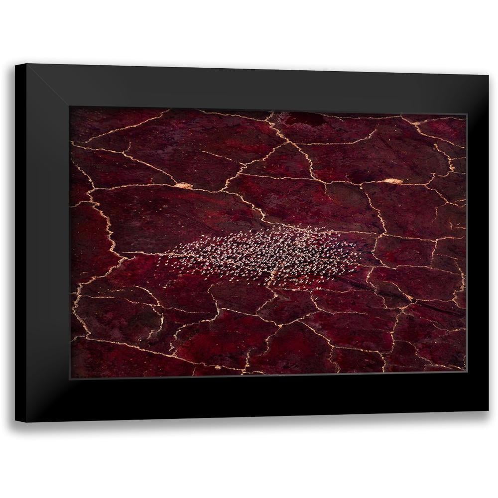Fan, John 18x13 Black Modern Framed Museum Art Print Titled - Red ...