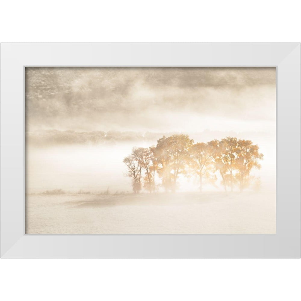 Fan, John 18x13 White Modern Wood Framed Museum Art Print Titled ...