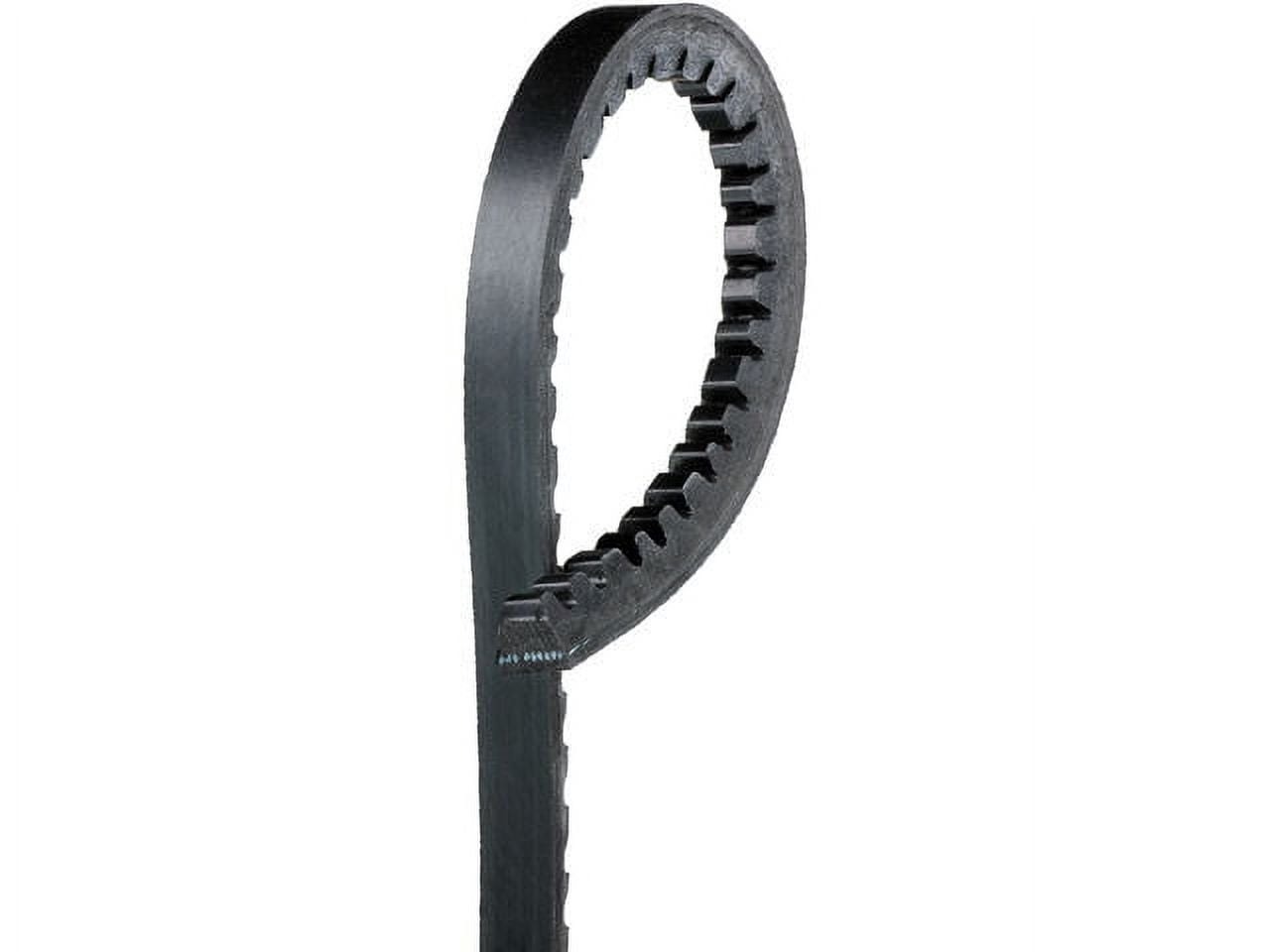 Fan and Alternator Accessory Drive Belt - Compatible with 1975 - 1982 ...
