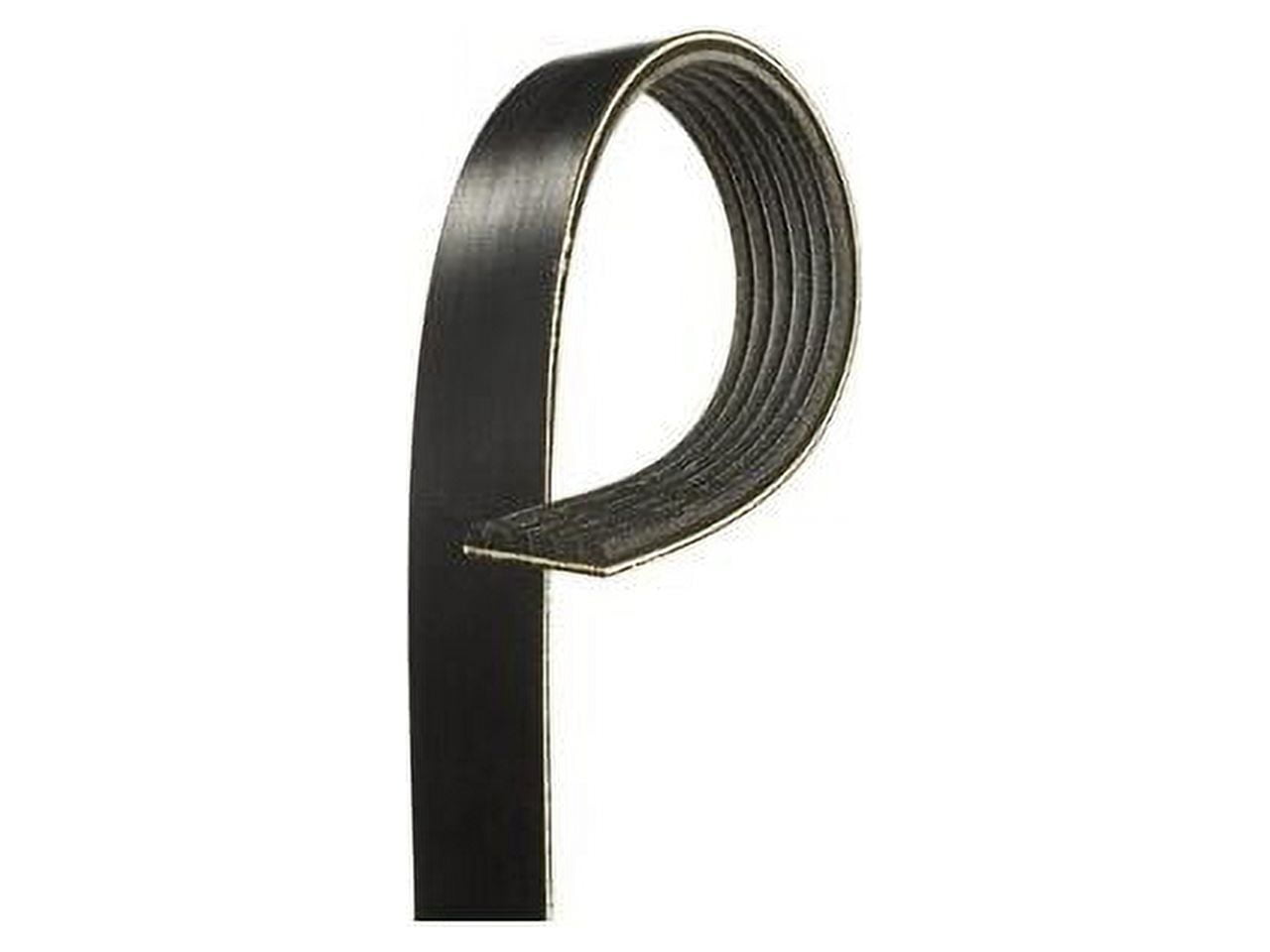Fan and Alternator Multi Rib Belt - Compatible with 1988 - 1992 Jaguar ...