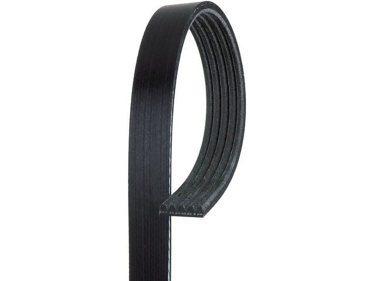 Fan And Alternator Multi Rib Belt Compatible With 1997 2004