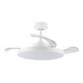 Fanaway Stroll 42" Retractable Blade DC Ceiling Fan with Light and ...