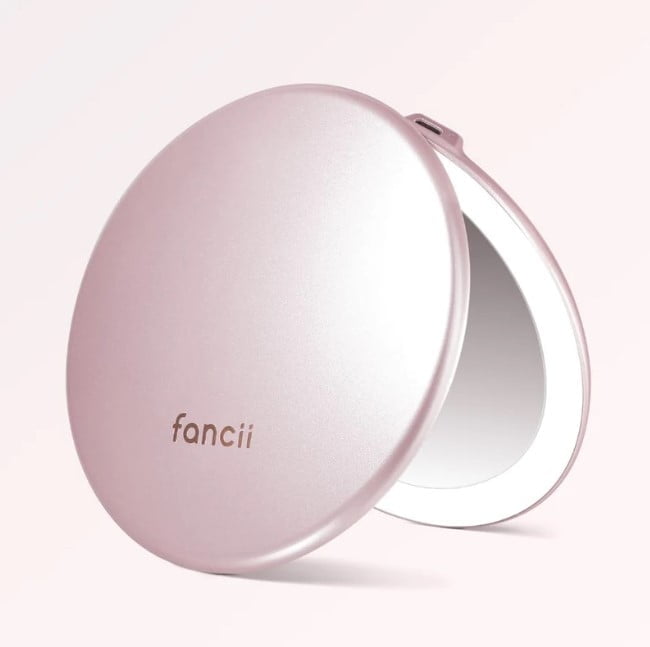 Fancii LED Lighted Travel Makeup Mirror, Rechargeable with 10x/1x ...