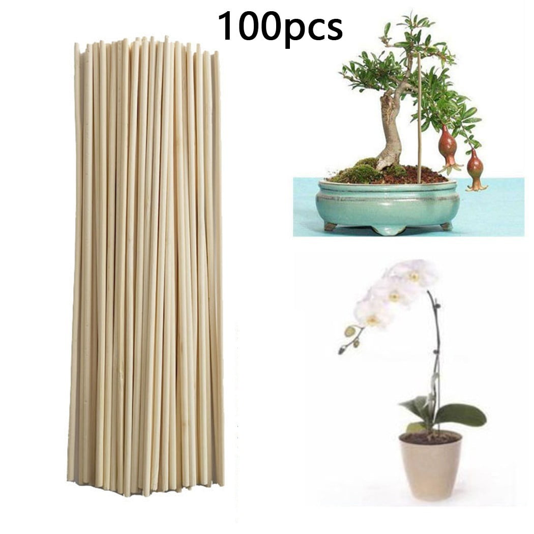 Fancy 100Pcs Bamboo Plant Stakes, Wood Plant Supports, Natural Bamboo ...