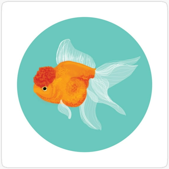 Fancy Goldfish Sticker Phone Decal Water Bottle Stickers Car Decals ...