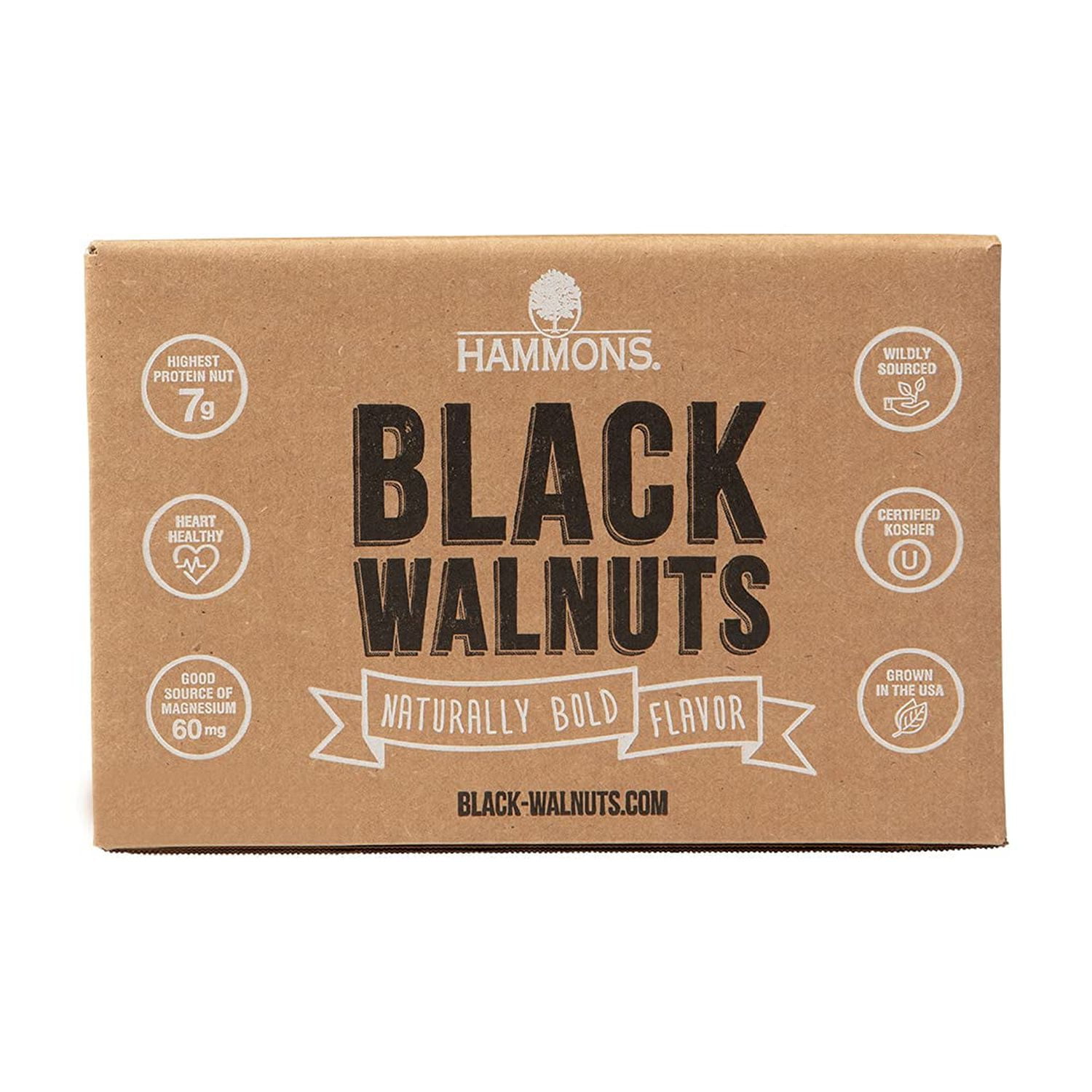 Fancy Large Black Walnuts, 4 Lb - Walmart.com
