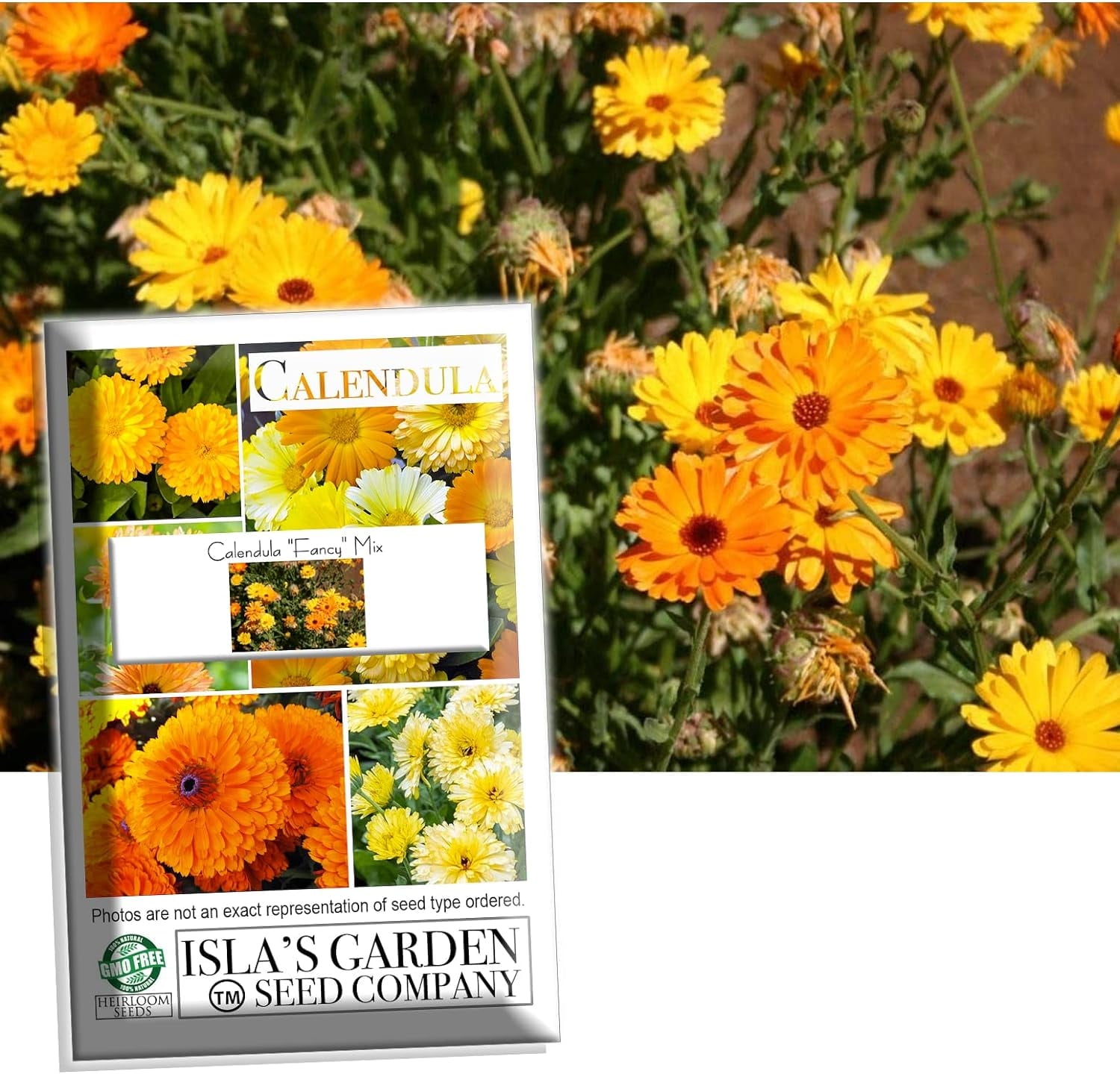 Fancy Mix Calendula Seeds (Calendula officinalis) - 250+ Non-GMO ...