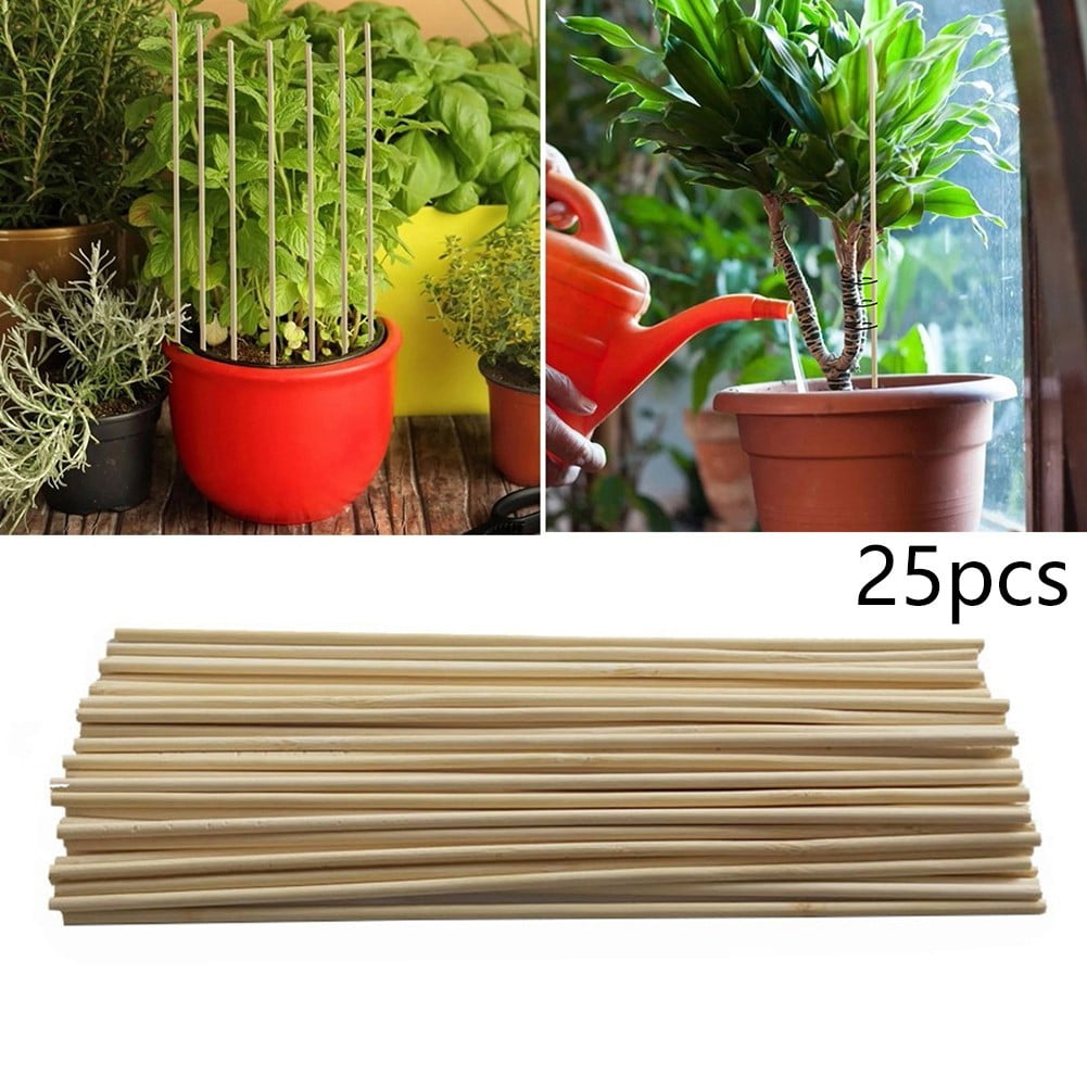 Fancy Plant Stakes Natural Garden Bamboo Sticks for Indoor and Outdoor ...