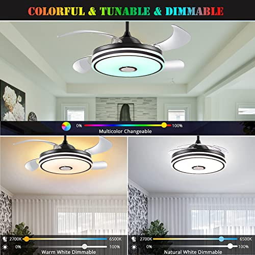 Fandian 42” Smart Bluetooth Ceiling Fan with Lights Remote Control ...