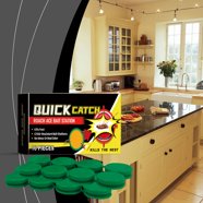 Harris Boric Acid Roach Killer Powder with Applicator, 16 oz. (2-Pack ...