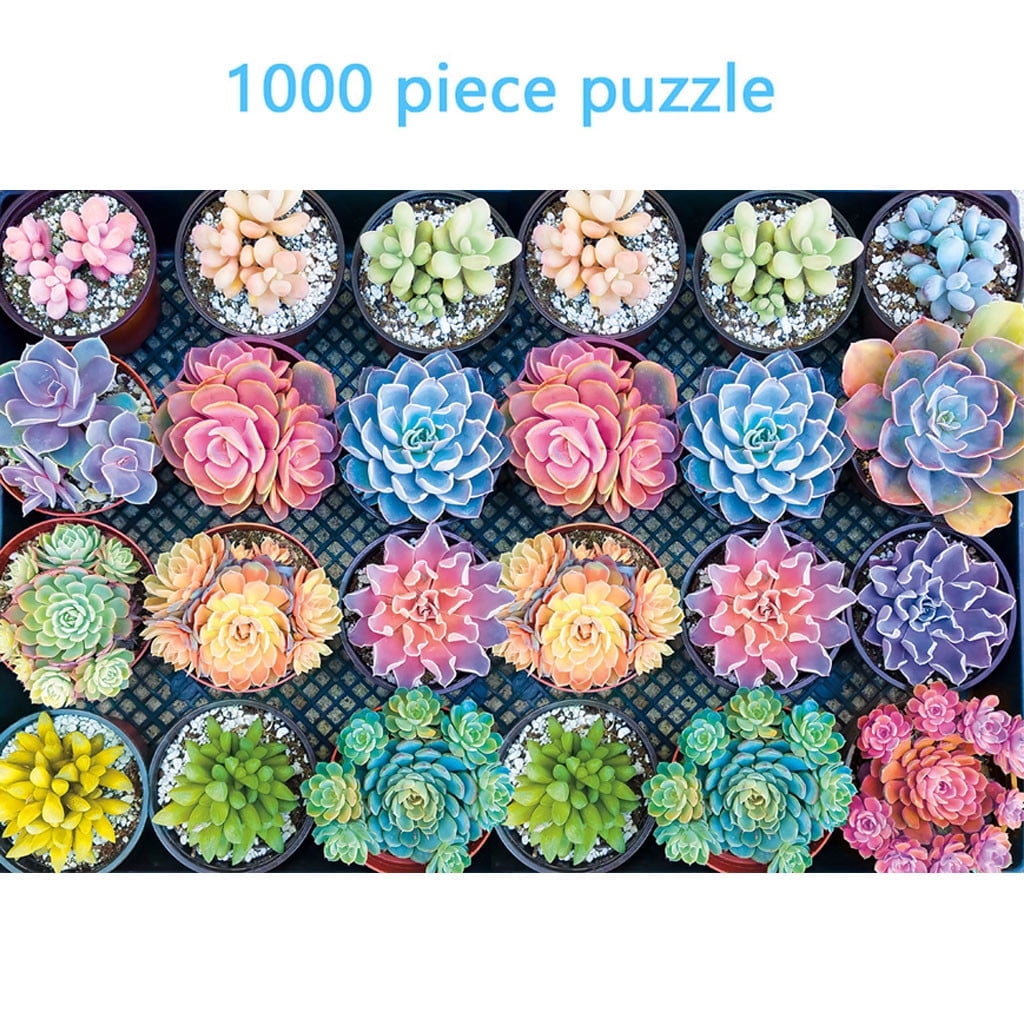 Fanglong Succulent 1000 Piece Adult Children Puzzle Holiday Pattern Toy ...