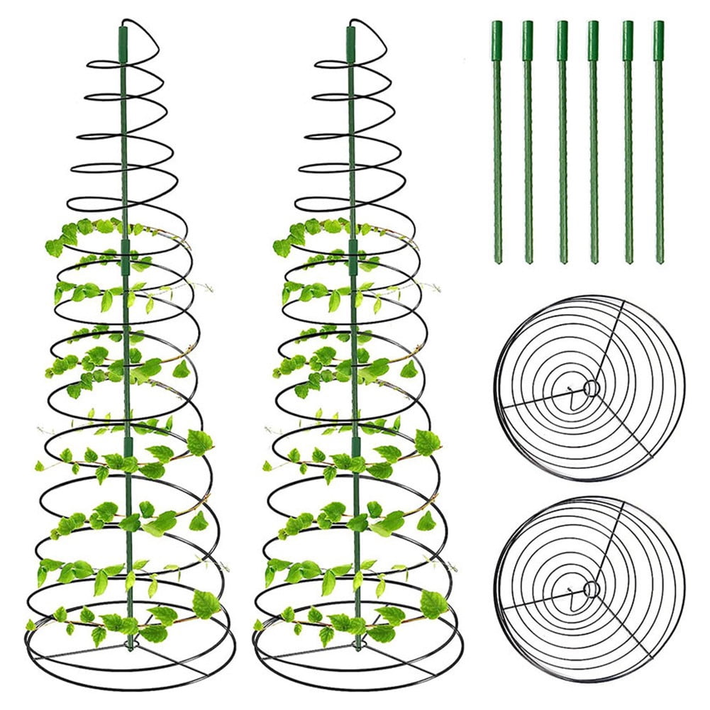 Fankenuo Adjustable Metal Plant Climbing Frame for Vibrant Potted ...