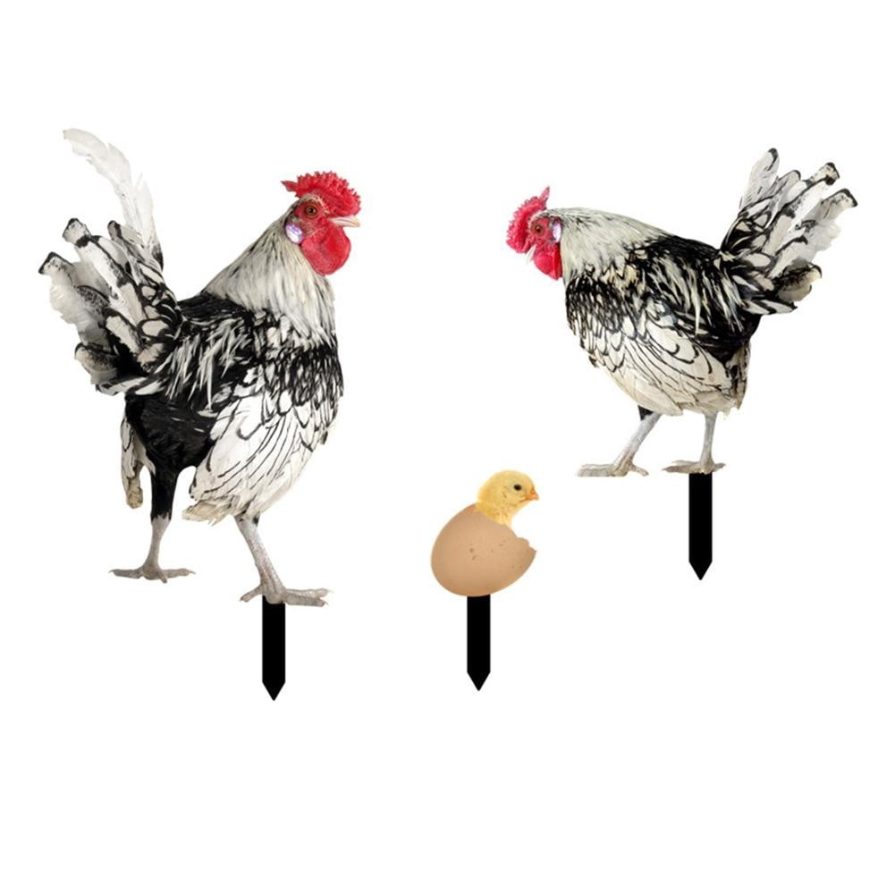 Fankenuo Charming Acrylic Chicken Garden Stake: for Durable, Weather ...
