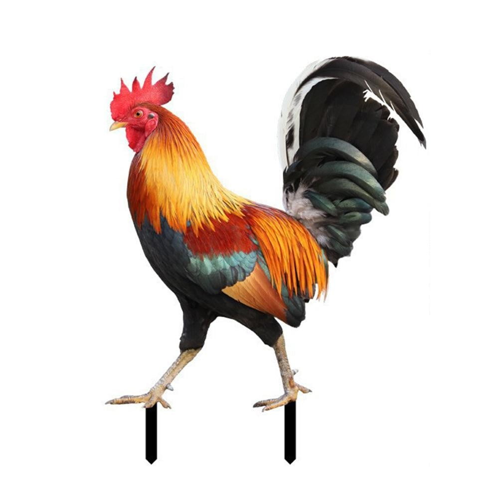 Fankenuo Charming Acrylic Rooster Garden Art: for Durable, Weatherproof ...