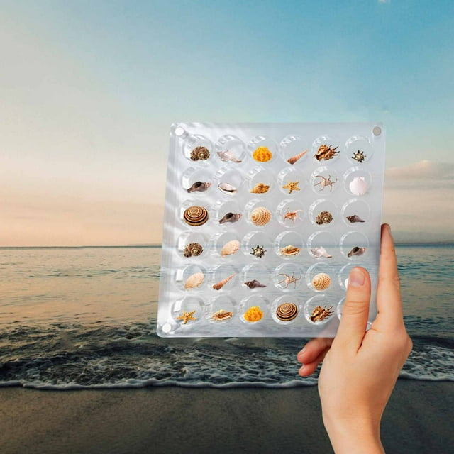 Fankiway Acrylic Magnetic Seashell Display Box 3664100 Grids Clear