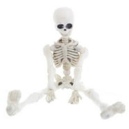 BOBOMOTI Halloween Skeleton Decoration, Full Body Posable Joints ...