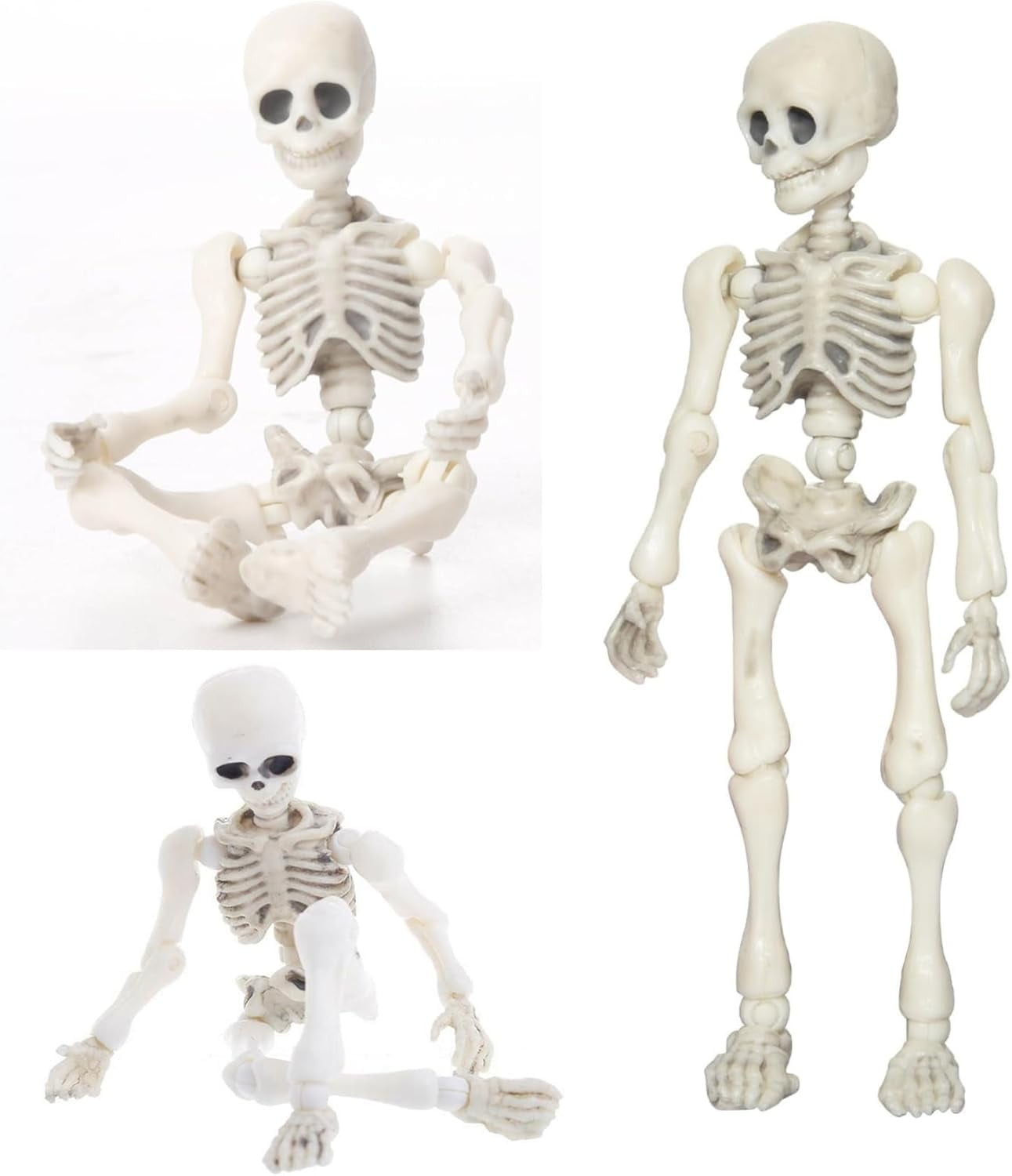 Fankiway Halloween Movable Skeleton Human Model Skull Full Body Mini ...