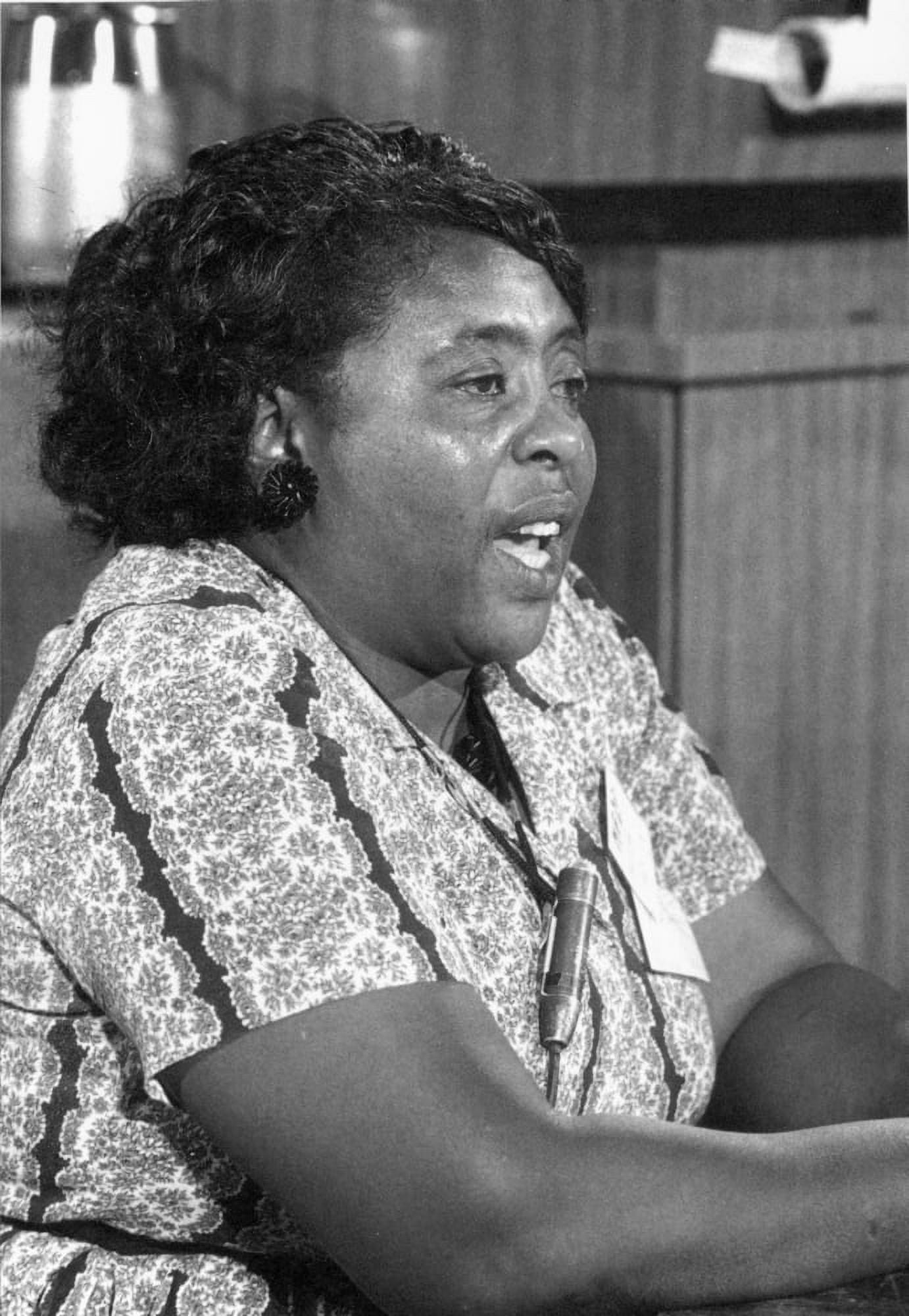 Fannie Lou Hamer (1917-1977). Namerican Civil Rights Activist. Speaking ...