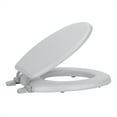 Fantasia 17 Inch Soft Standard Vinyl Toilet Seat - Walmart.com