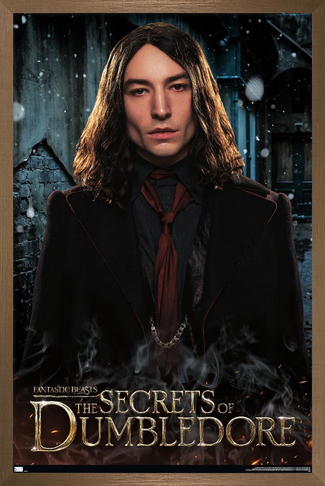 Fantastic Beasts: The Secrets of Dumbledore - Credence Barebone Wall ...