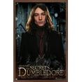 Fantastic Beasts: The Secrets of Dumbledore - Credence Barebone Wall ...