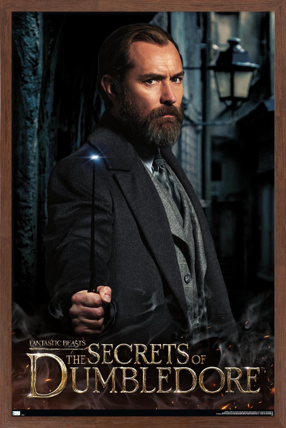 Fantastic Beasts: The Secrets of Dumbledore - Dumbledore Wall Poster ...