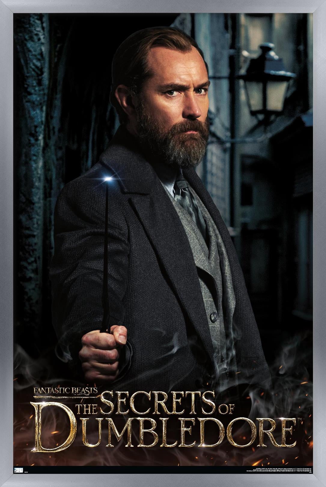 Fantastic Beasts: The Secrets of Dumbledore - Dumbledore Wall Poster ...