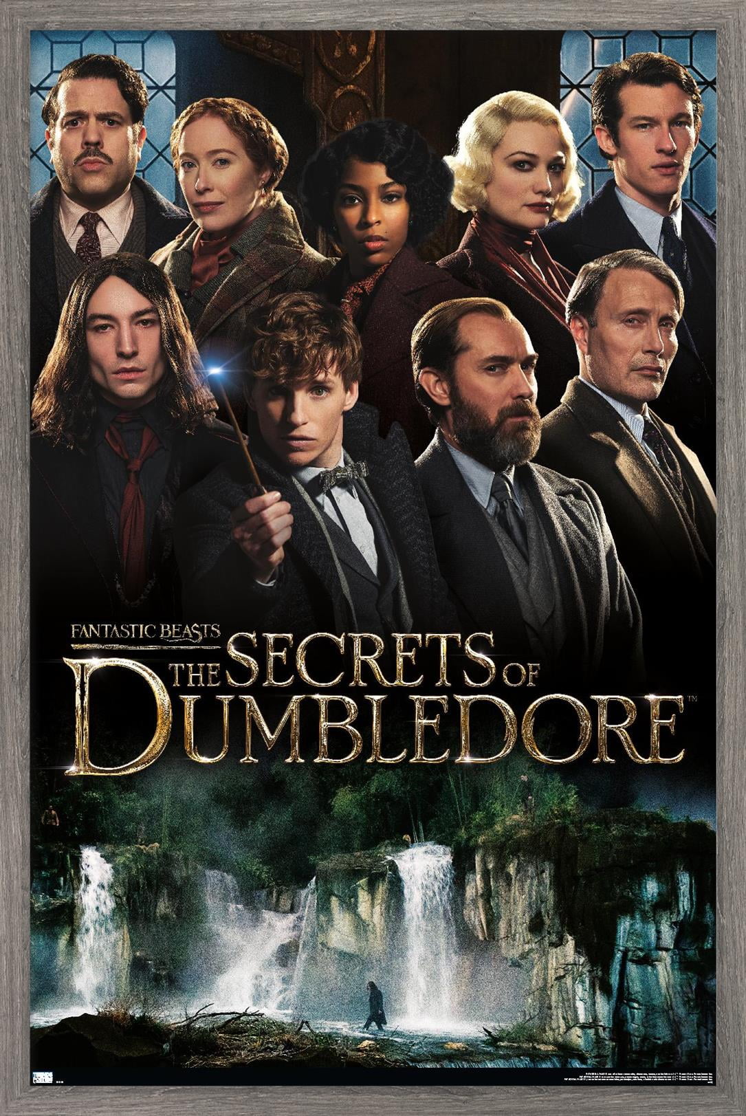 Fantastic Beasts: The Secrets of Dumbledore - Group Wall Poster, 22.375 ...