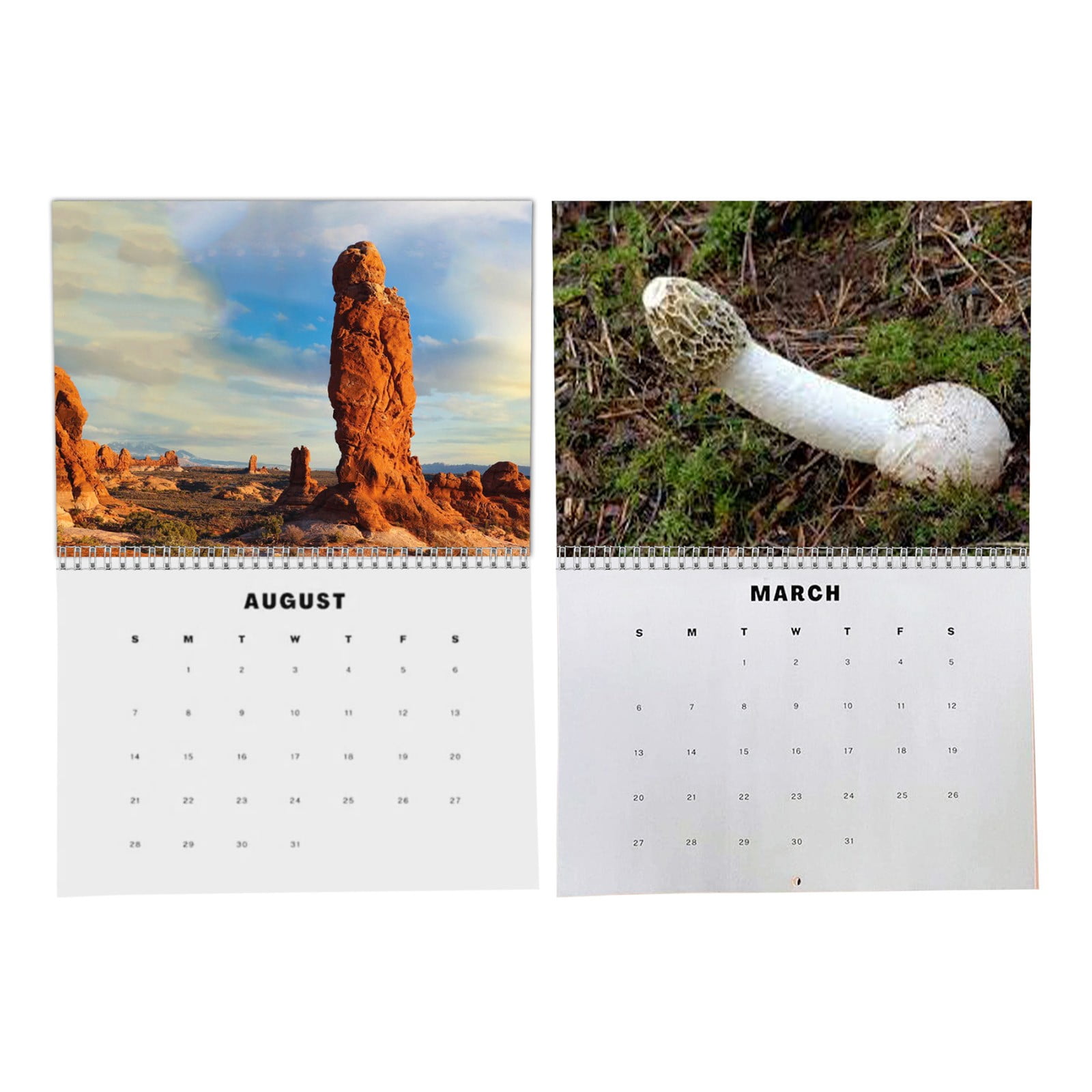 Fantastic Calendar For 2022,Funnys Ornament Yearly Desk Calendar 2022 ...
