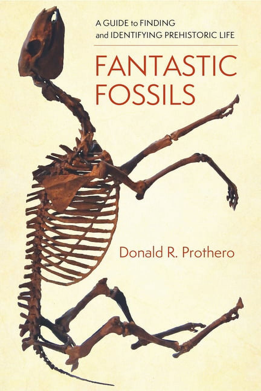 Fantastic Fossils: A Guide to Finding and Identifying Prehistoric Life ...
