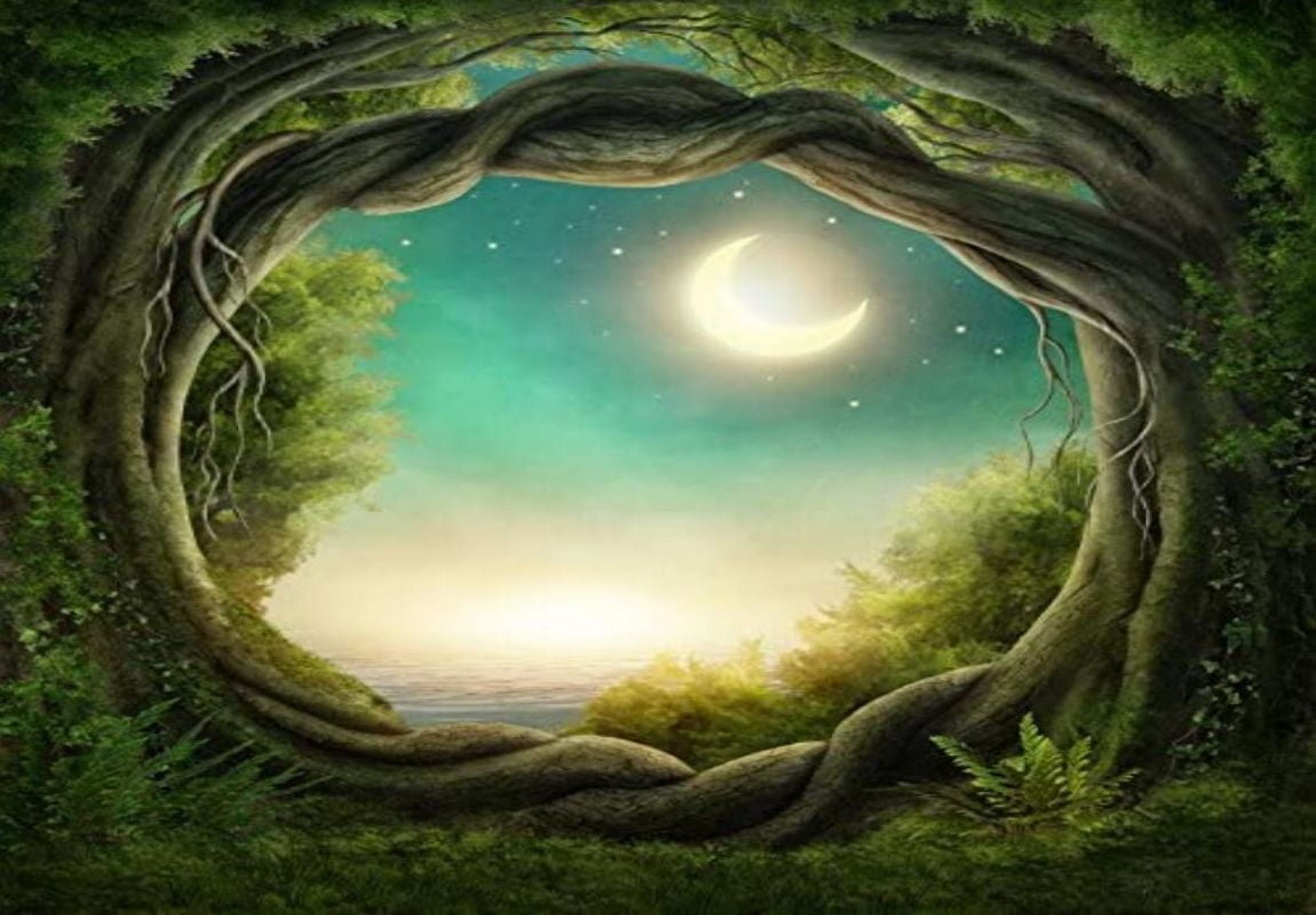 Fantasy Forest Fairy Tale Ivy Night Moon Stars Background Custom ...