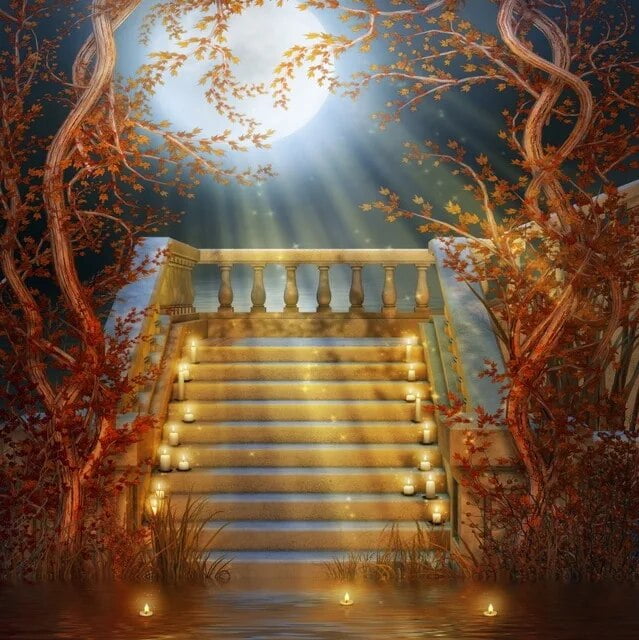 Fantasy Forest Moonlight Step Ladder Scene Baby Portrait Photography ...