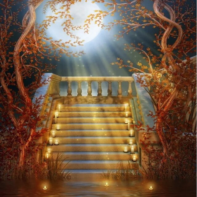 Fantasy Forest Moonlight Step Ladder Scene Baby Portrait Photography ...