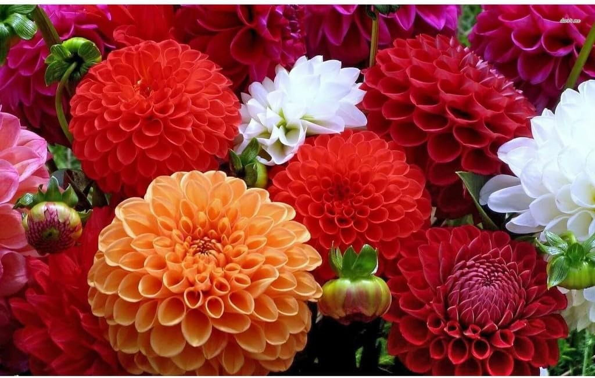 Fantasy Puzzles for Adults -Colorful Flower Collage Wooden Puzzles ...