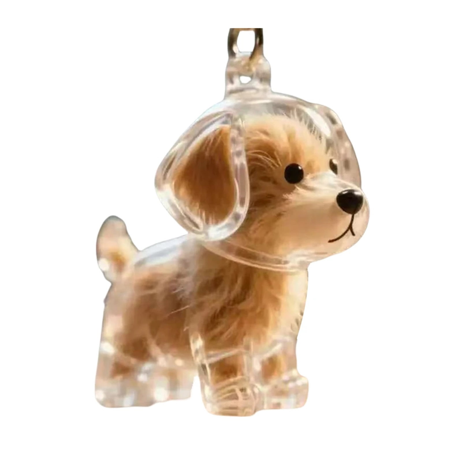 Fantj Dog Cat Fur Keepsake Capsule Clear Pet Hair Storage Box DIY ...