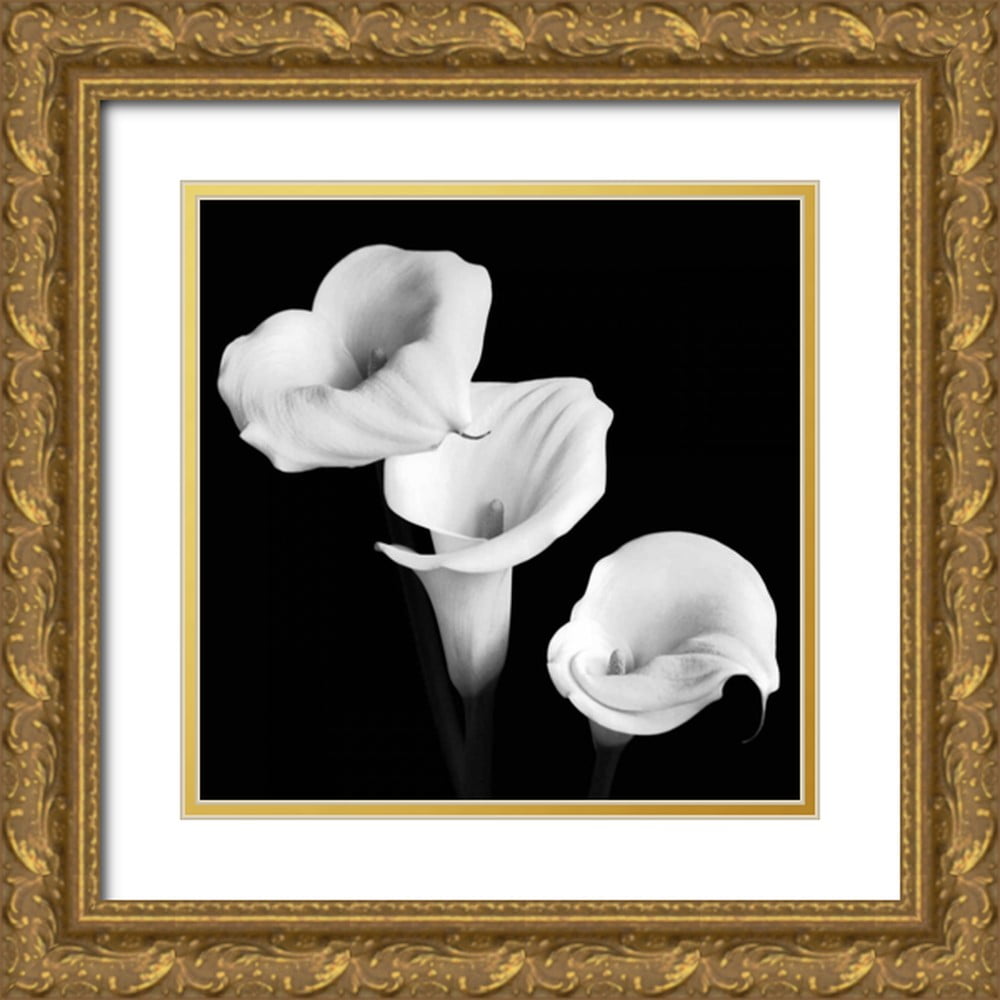 Faragher, Michael 15x15 Gold Ornate Wood Framed with Double Matting ...