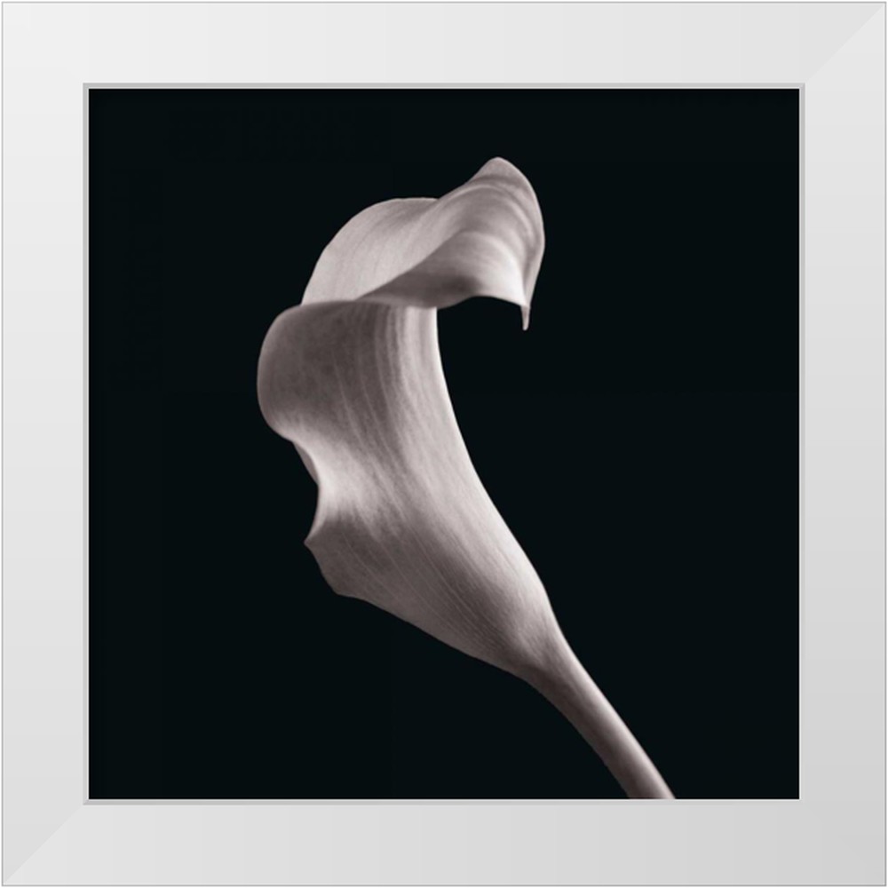 Faragher, Michael 15x15 White Modern Wood Framed Museum Art Print ...