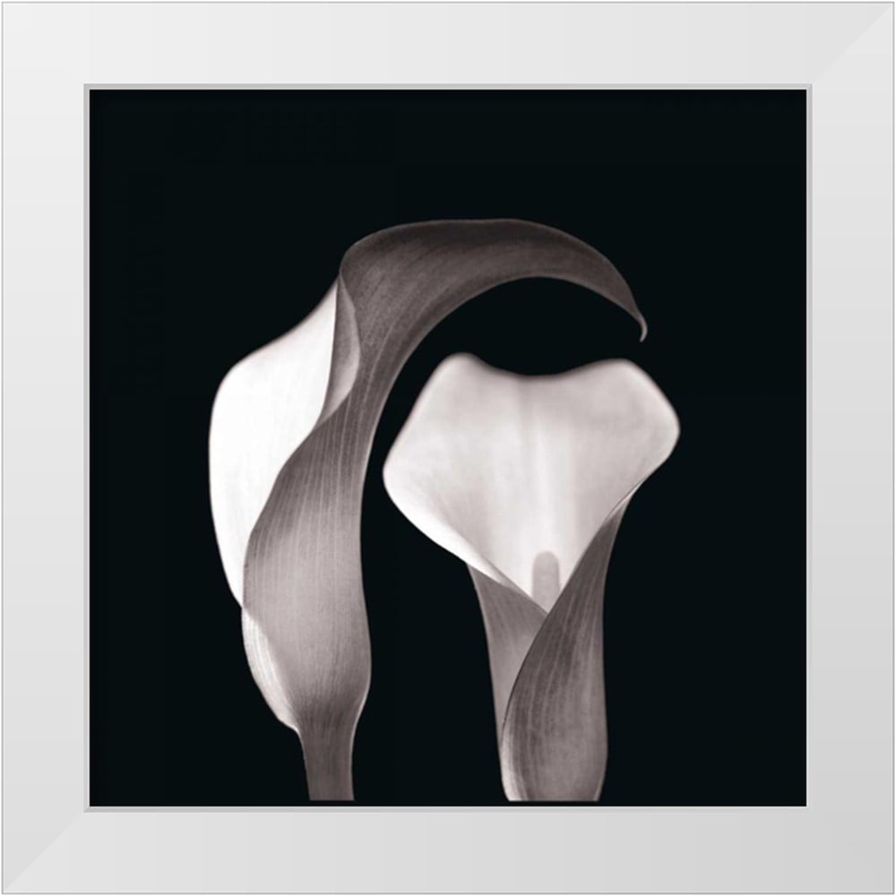Faragher, Michael 20x20 White Modern Wood Framed Museum Art Print ...