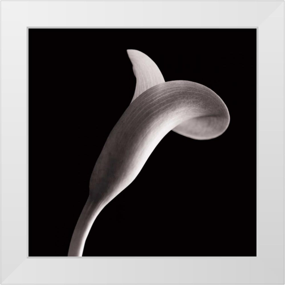 Faragher, Michael 20x20 White Modern Wood Framed Museum Art Print ...