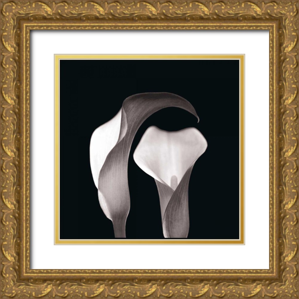 Faragher, Michael 26x26 Gold Ornate Wood Framed with Double Matting ...