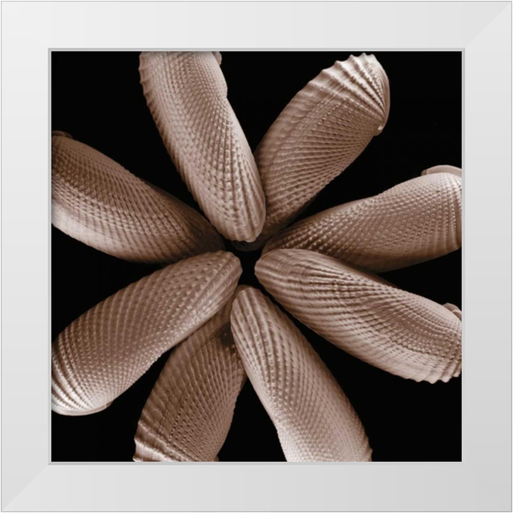 Faragher, Michael 26x26 White Modern Wood Framed Museum Art Print ...