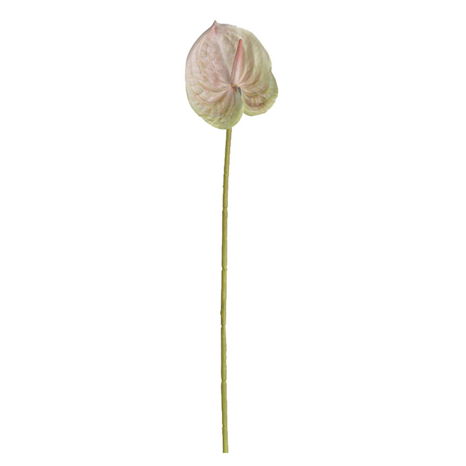 Farfi 1 Branch Artificial Flower Fresh-keeping Artistic 3D Printing ...