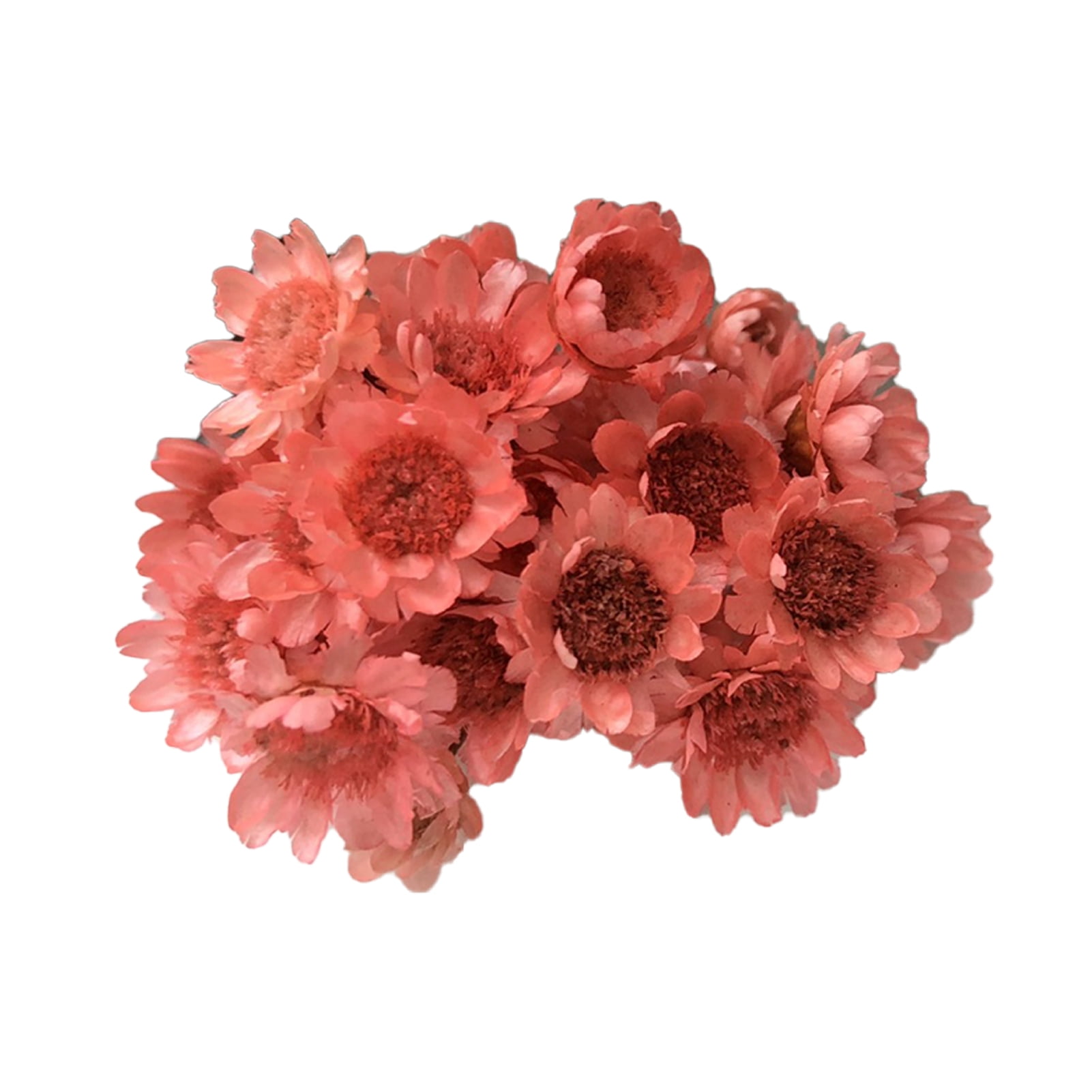 Farfi 30Pcs Dried Flowers Long Lasting Anti Allergic Natural Vivid ...