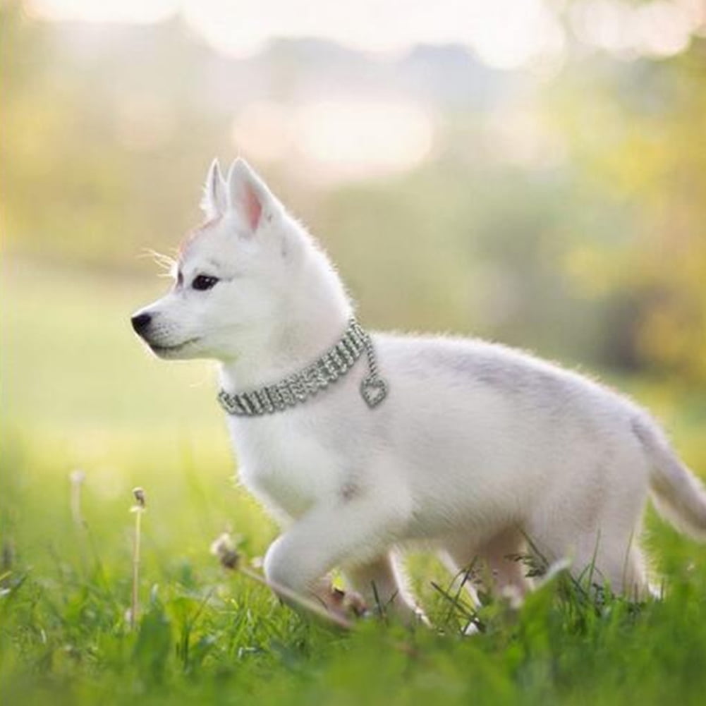 Farfi Bling Rhinestone Dog Collars Puppy Necklace with Heart Charm Cute ...