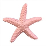 Farfi Simulation Starfish Lifelike Realistic Plastic Cute Artificial ...