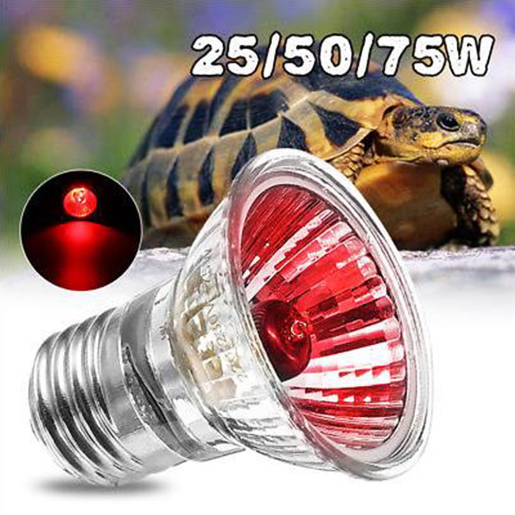 Farfi UVA UVB Amphibians Reptiles Bird Snake Light Bulbs Emitter ...