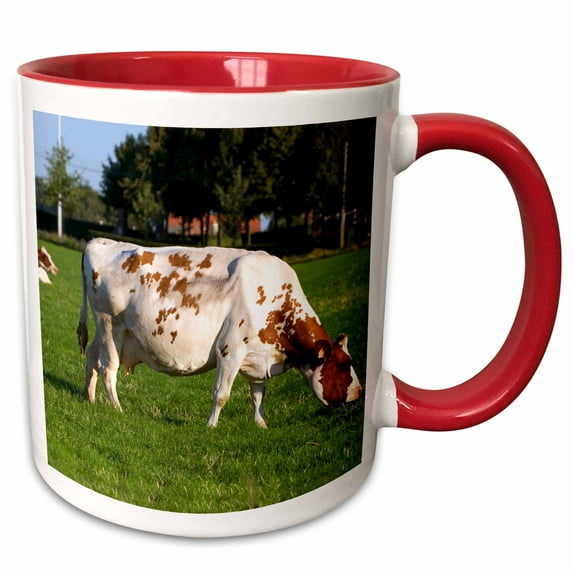 3drose, Farm Animal, Cows Graze on a Farm in Belgium-eu04 Dfr0047 ...